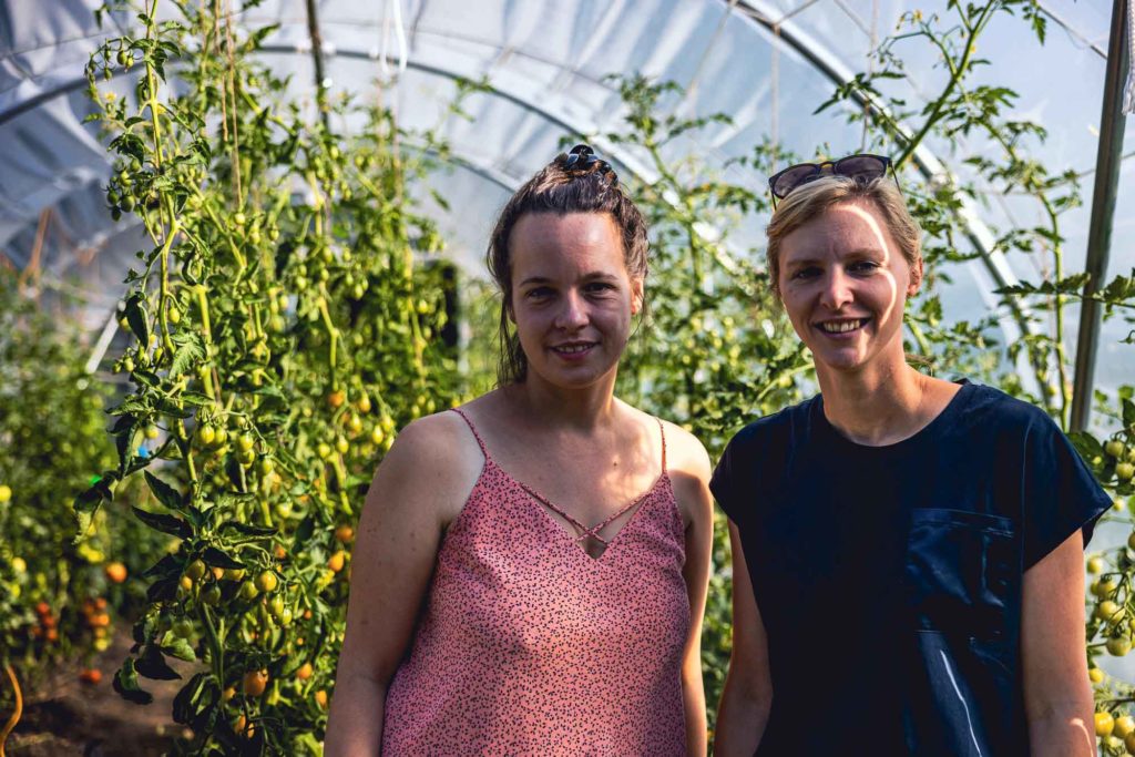 Mit BALU zur Gemüsegärtnerei Stöcken - Das Lastenrad für Halver